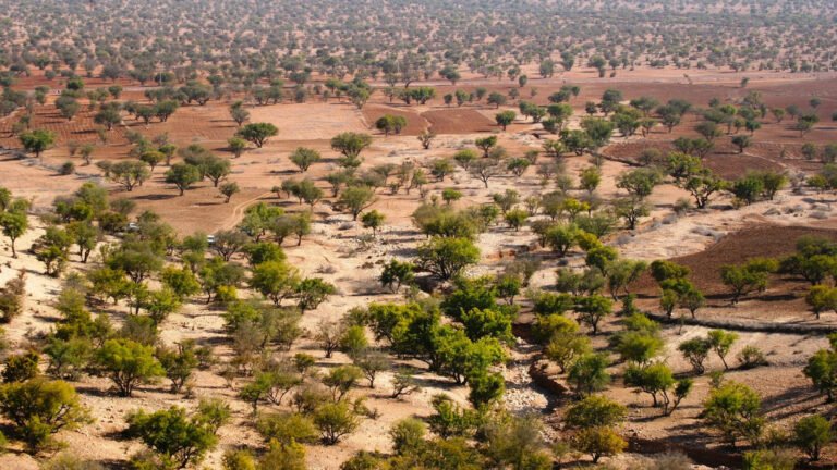 Offrez-vous un voyage de rêve au Maroc